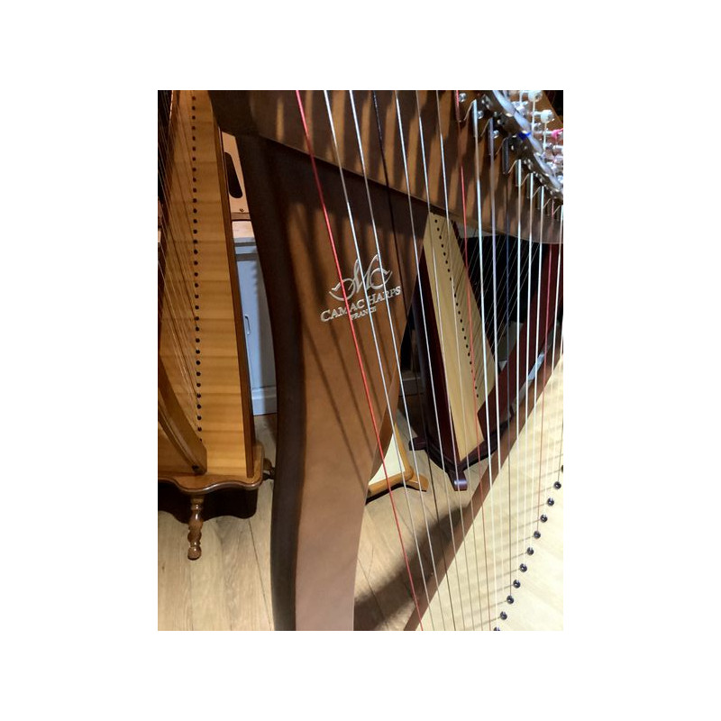 Harpe celtique Camac Hermine 34 cordes Noyer