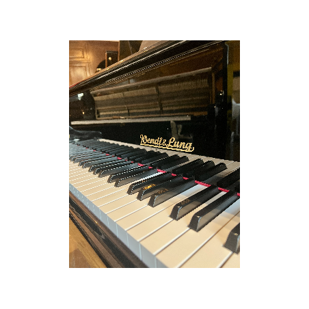 Piano à queue WENDL & LUNG Mod. 178 Professional II